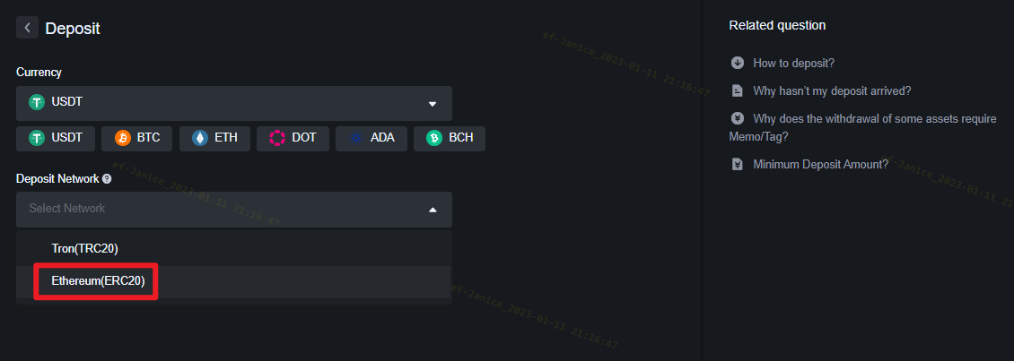Introduction to USDT Multi-Network